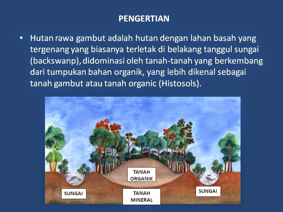 HUTAN RAWA GAMBUT: EKOSISTEM HUTAN RAWA GAMBUT