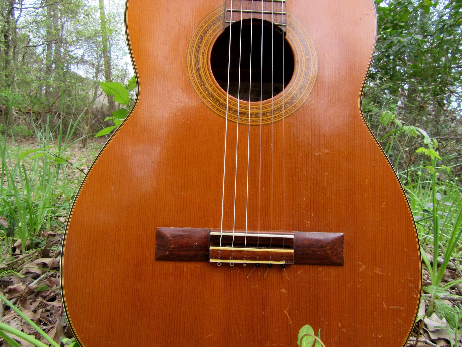 The older you will get...: Suzuki Classical Guitar...