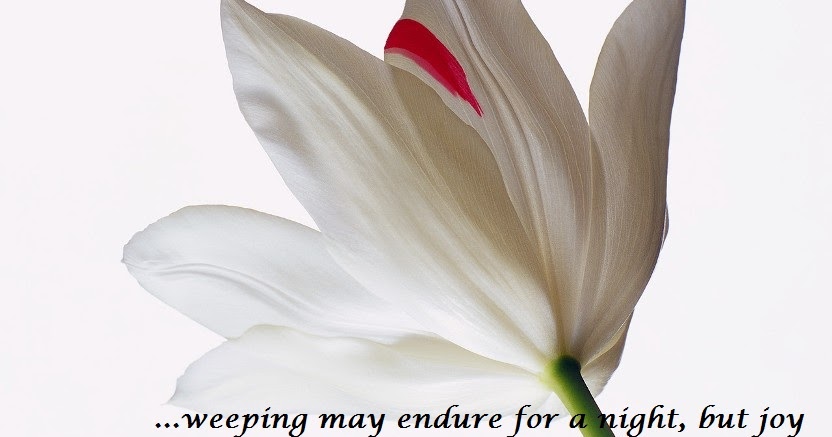 The Groanings of this Present Age