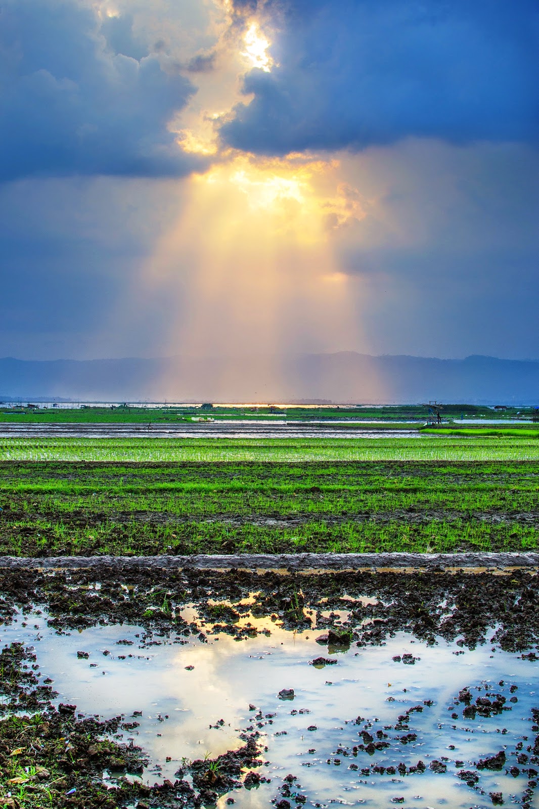 Teknik Pencahayaan (Lighting) Dalam Fotografi - LensFotografi
