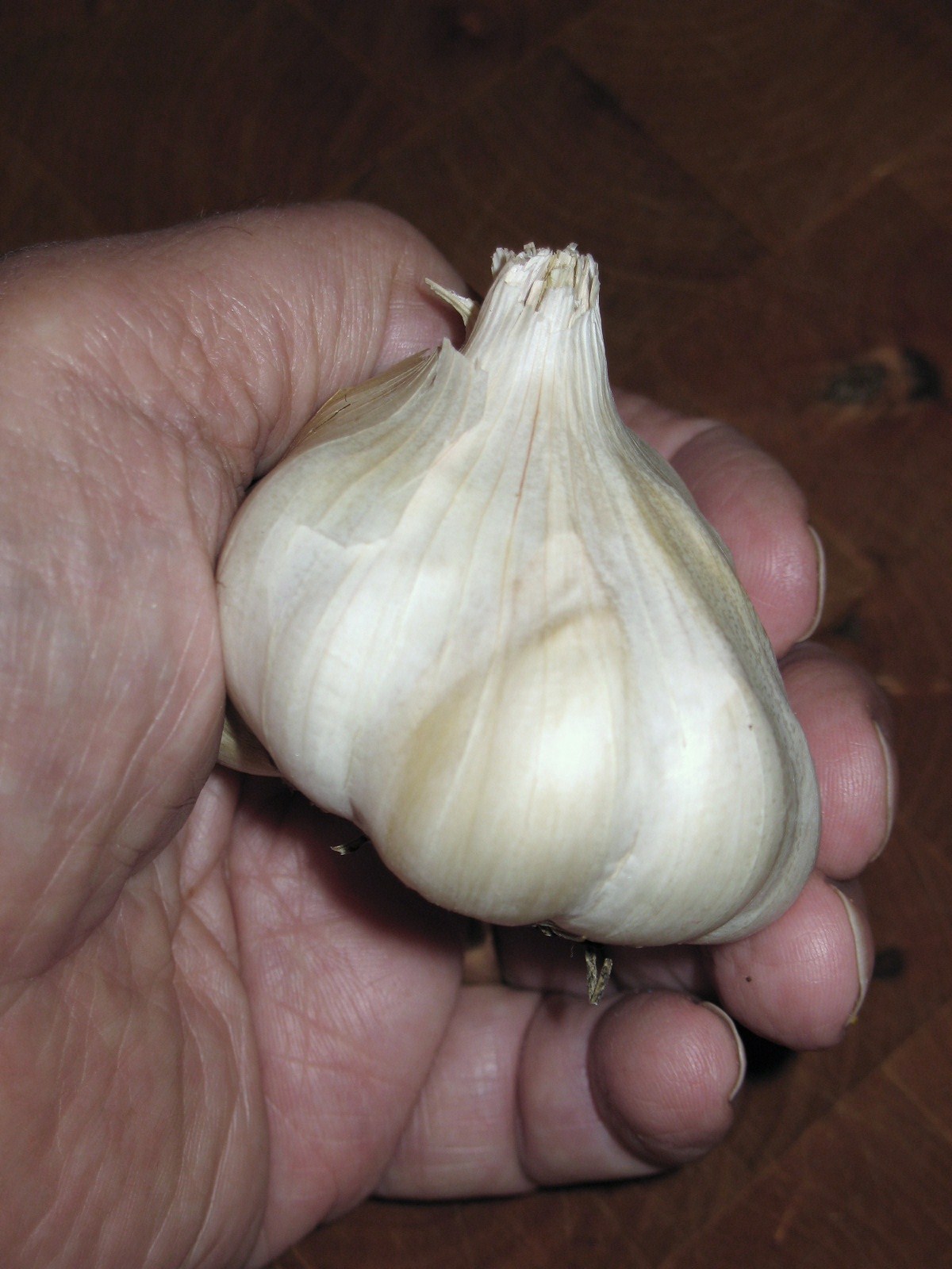 Sensible Survival: Garlic - The Ancient Wonder Drug
