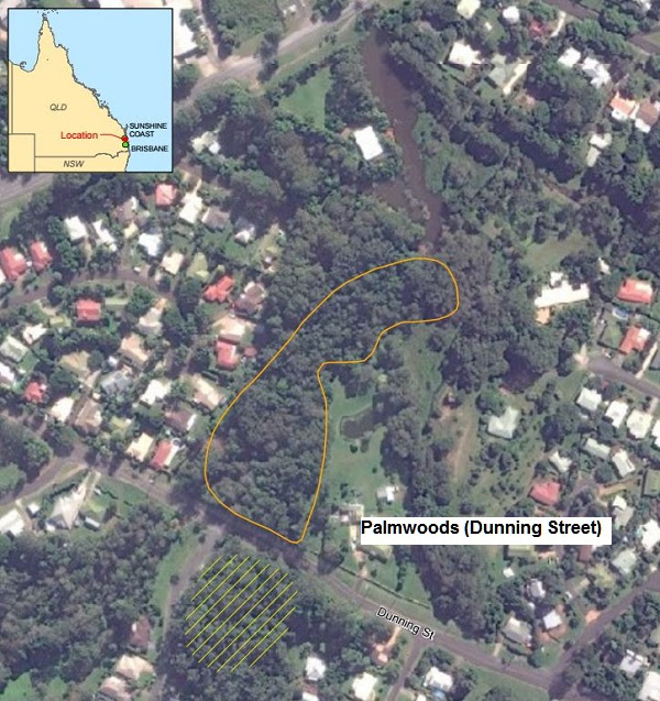 Sunshine Coast Queensland - Megabats, Flying-foxes, Fruit Bats
