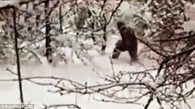 Please enable JavaScript