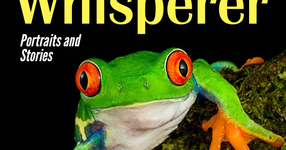 FrogScapes: Frog book is available for pre-order