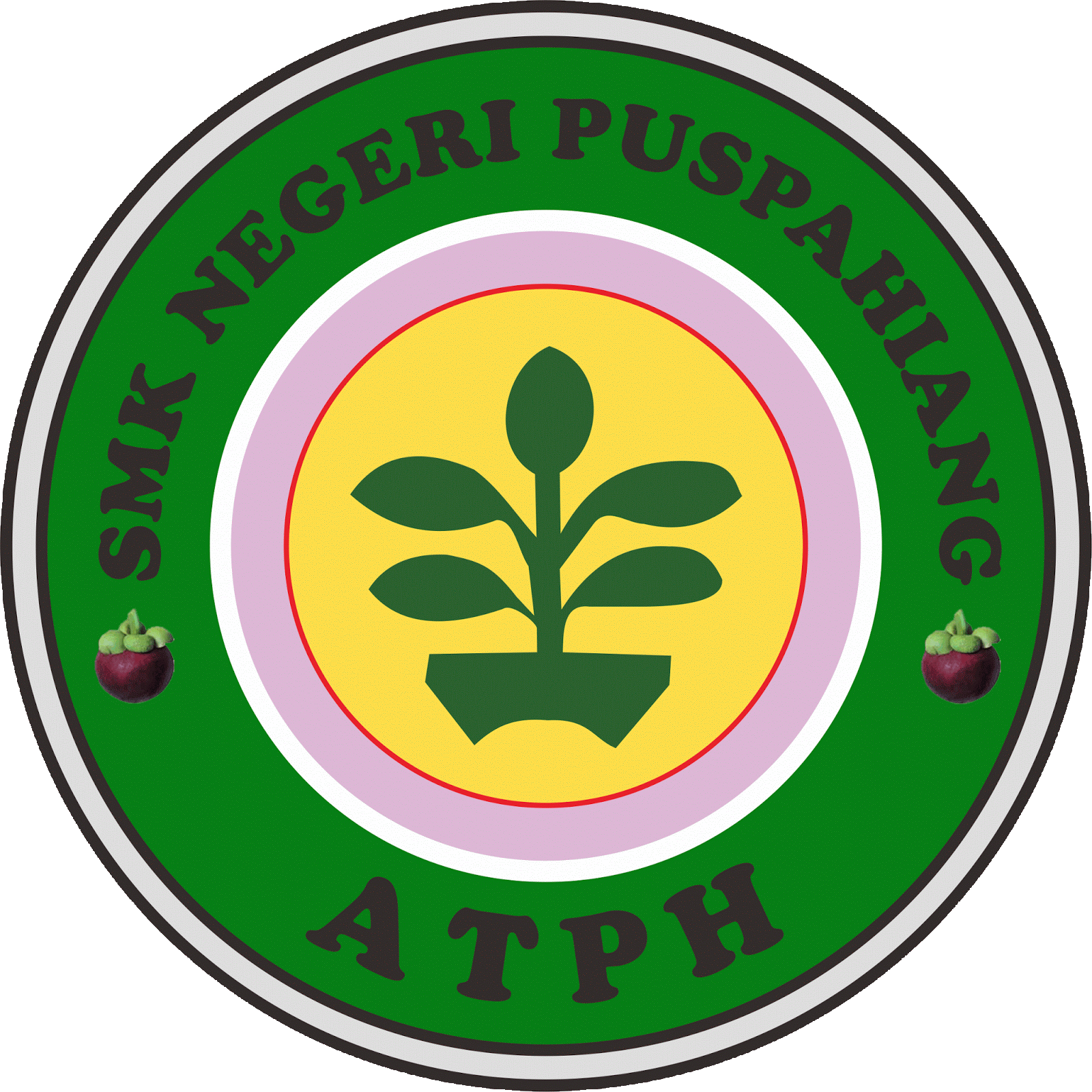 ATPH SMK N PUSPAHIANG