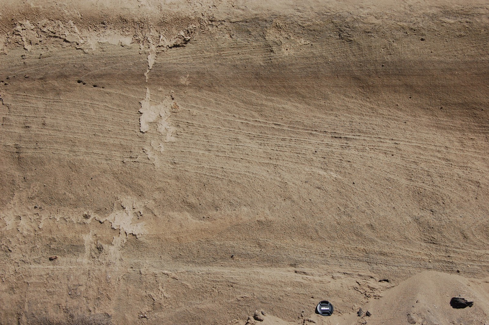Outside The Interzone: Geo 365: Jan. 14, Day 14: Deformed Cross-Bedding