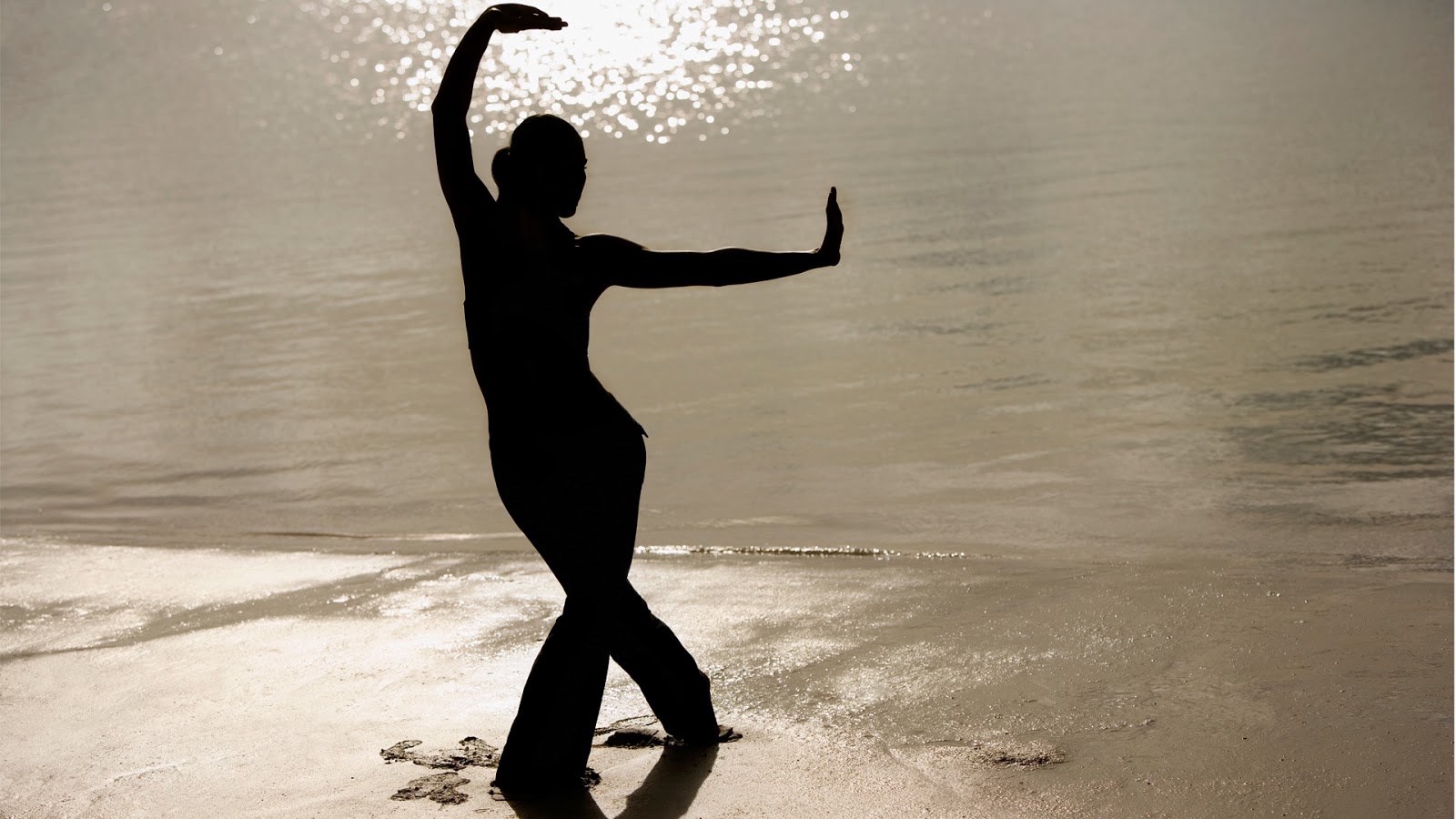 Siluetas varias wallpapers