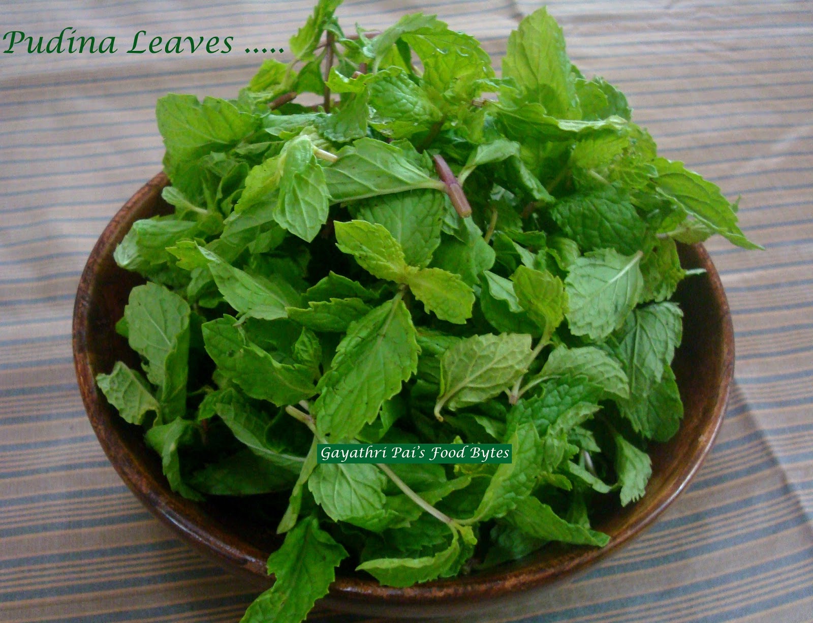 Gayathri Pai's Food Bytes: Pudina ~ Dhania ~ Bimbul Green Chutney.