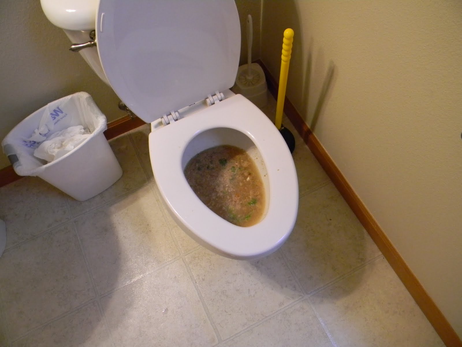 Strengthinstarvation: It's raining vomit.