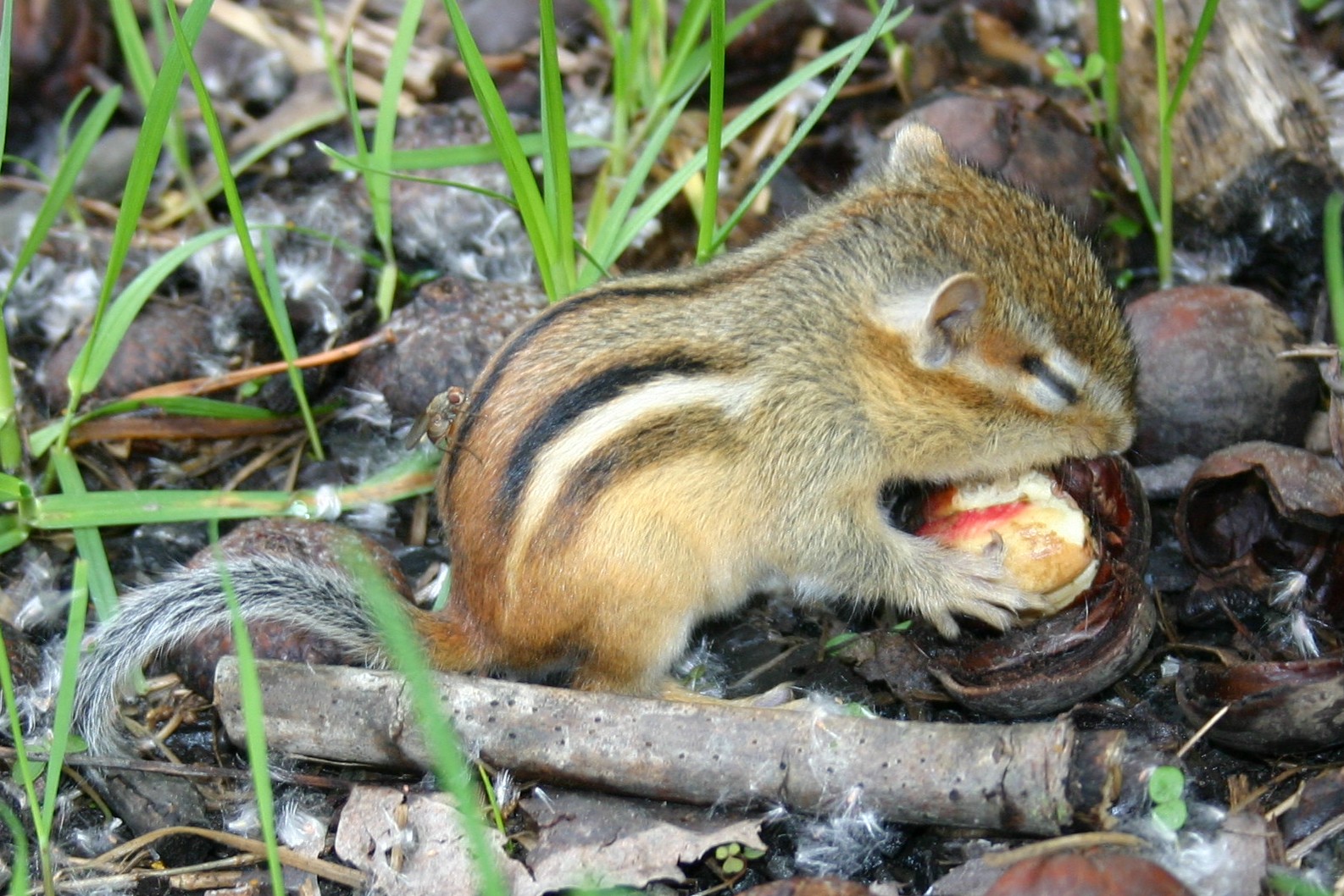 Always creating something at Home: Dirt and other miracles of nature