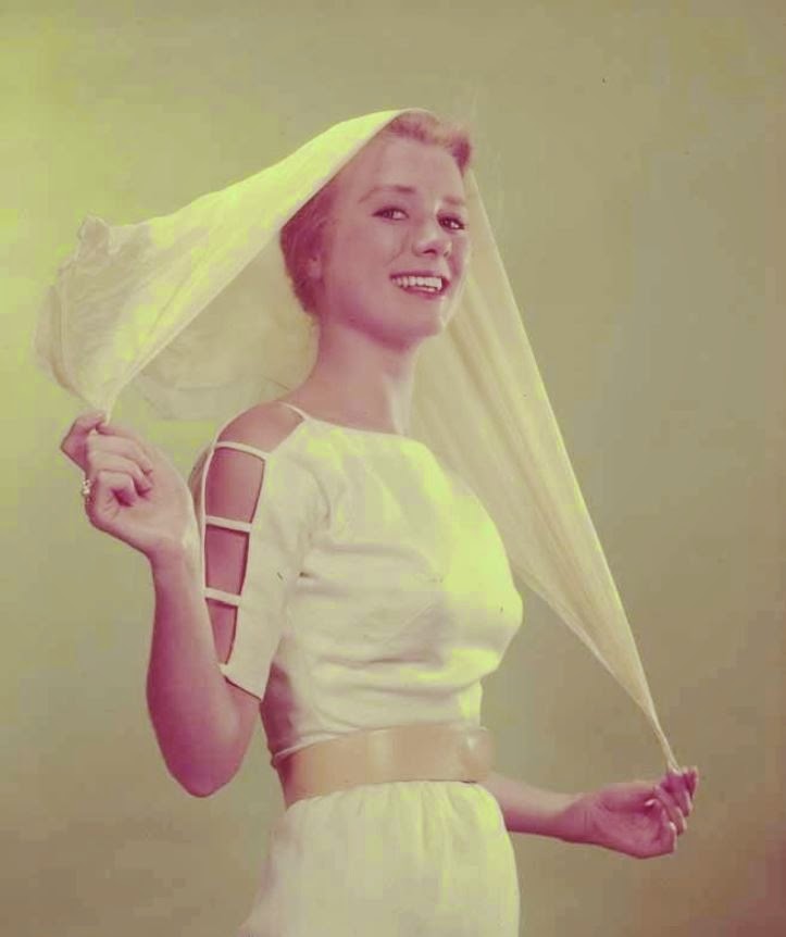 Slice Of Cheesecake Inger Stevens Pictorial