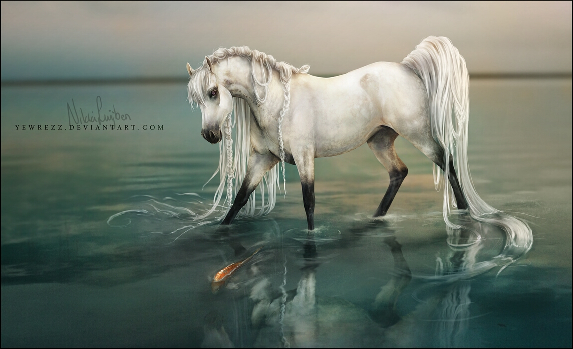 Końska Tapety #7 - The Star Stable Wold