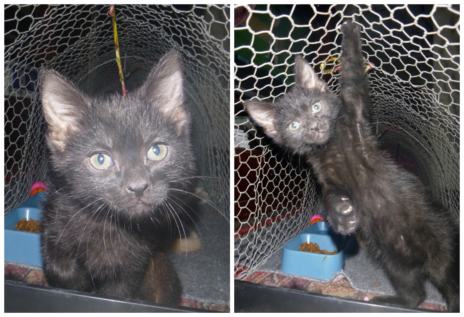 "You can call me Sue": Pinch and a punch for the first of the month!!!