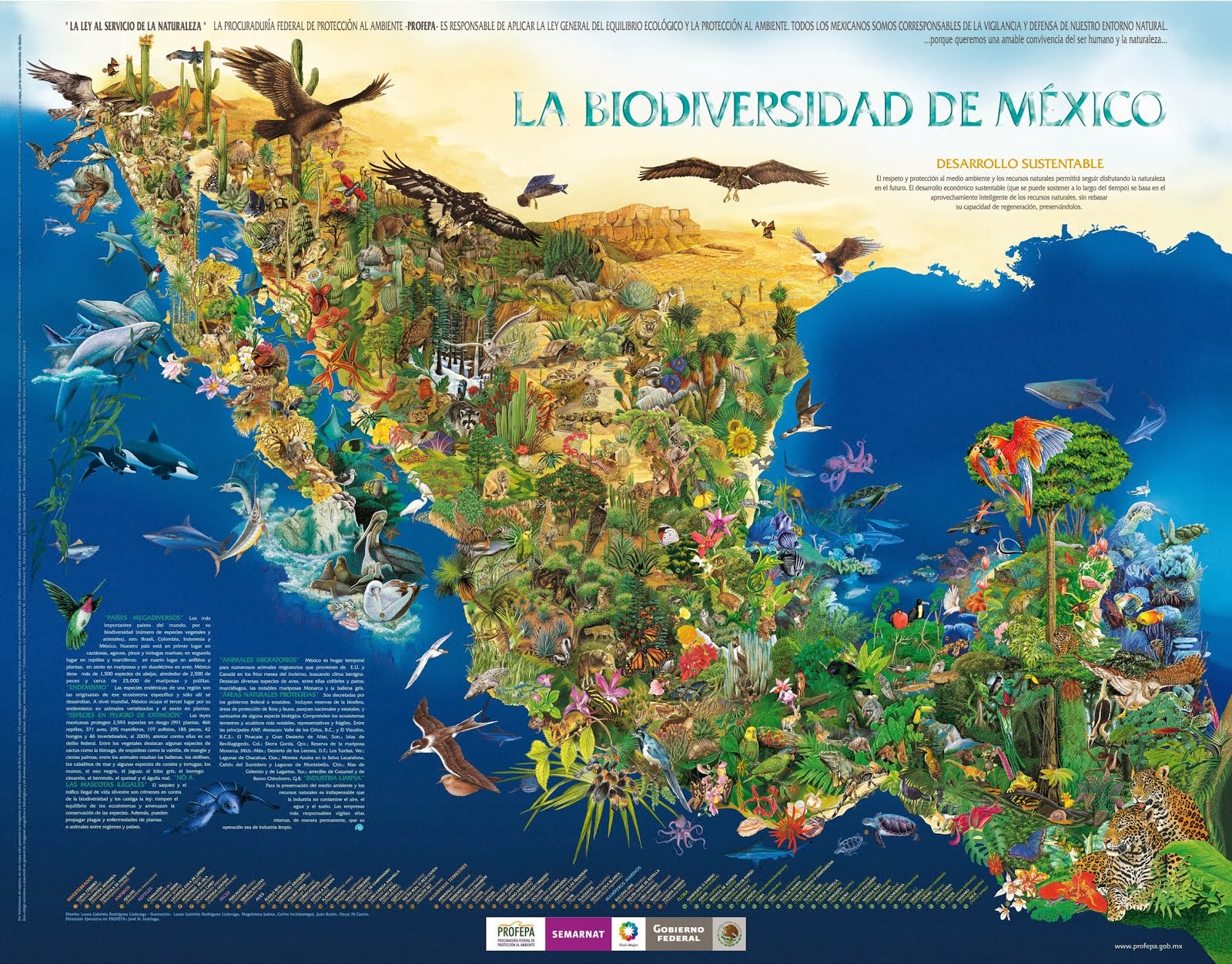 LOS ECOSISTEMAS EN MÉXICO Y SU DETERIORO AMBIENTAL