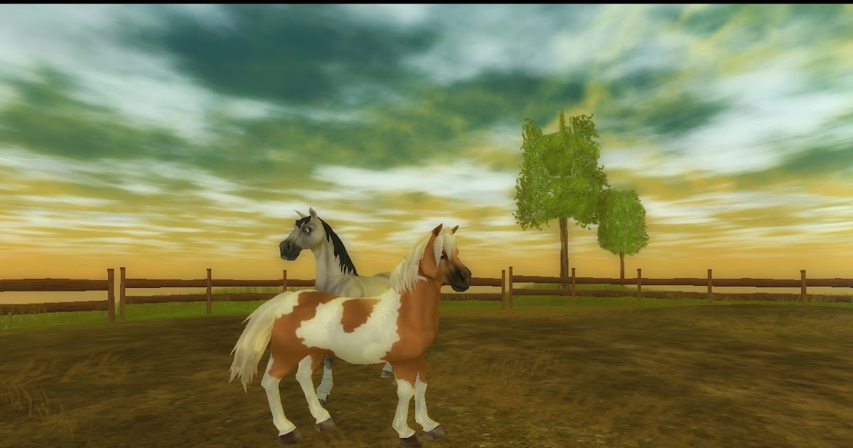 Star Stable Online: Molly: Koniec treningów Fox!