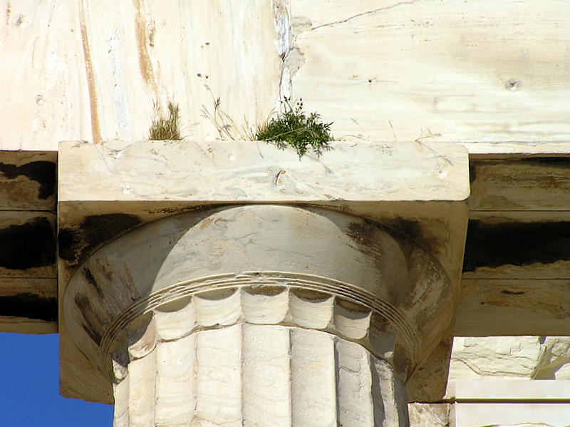 NOTED: The Doric Order