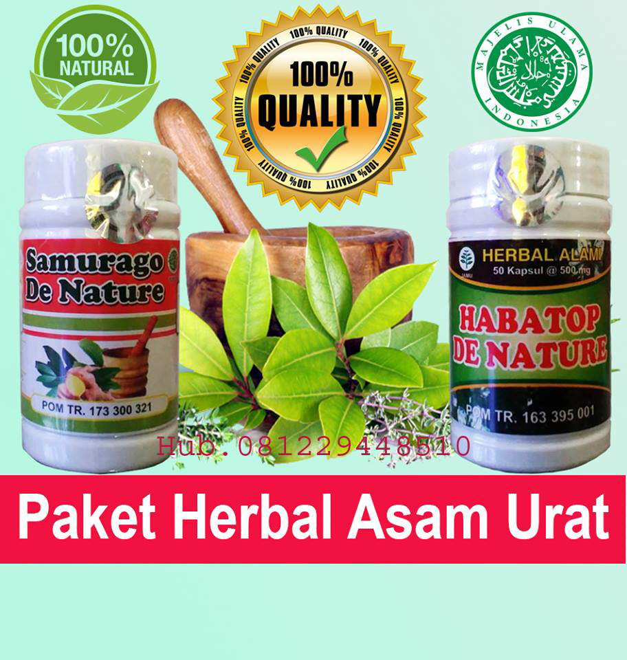 Obat Asam Urata Ampuh
