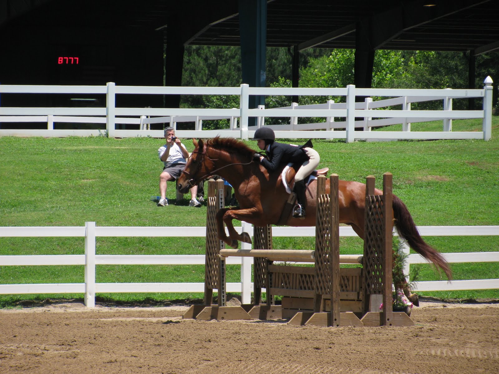 Girls and Thier Horses: Horse Show Jumping