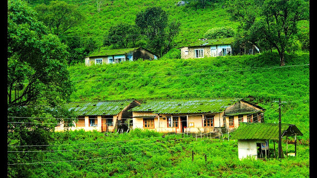 Into the wild - Only for Wildlife Lovers - Gavi Eco Tourism | ഗവി