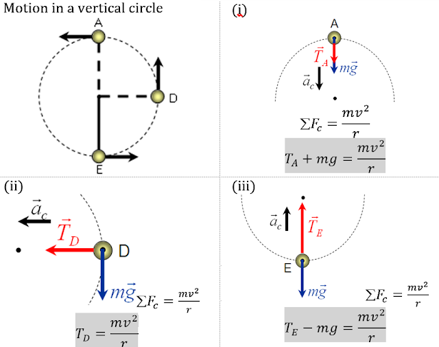 sf016_rohit: Ch 6: Circular Motion 3/ VERTICAL circular motion