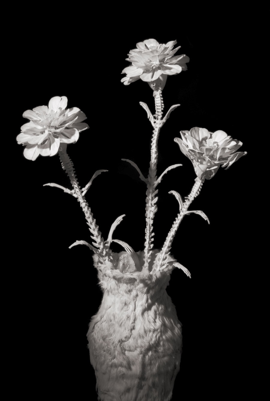 Simply Creative: Animal Bone Flowers by Hideki Tokushige