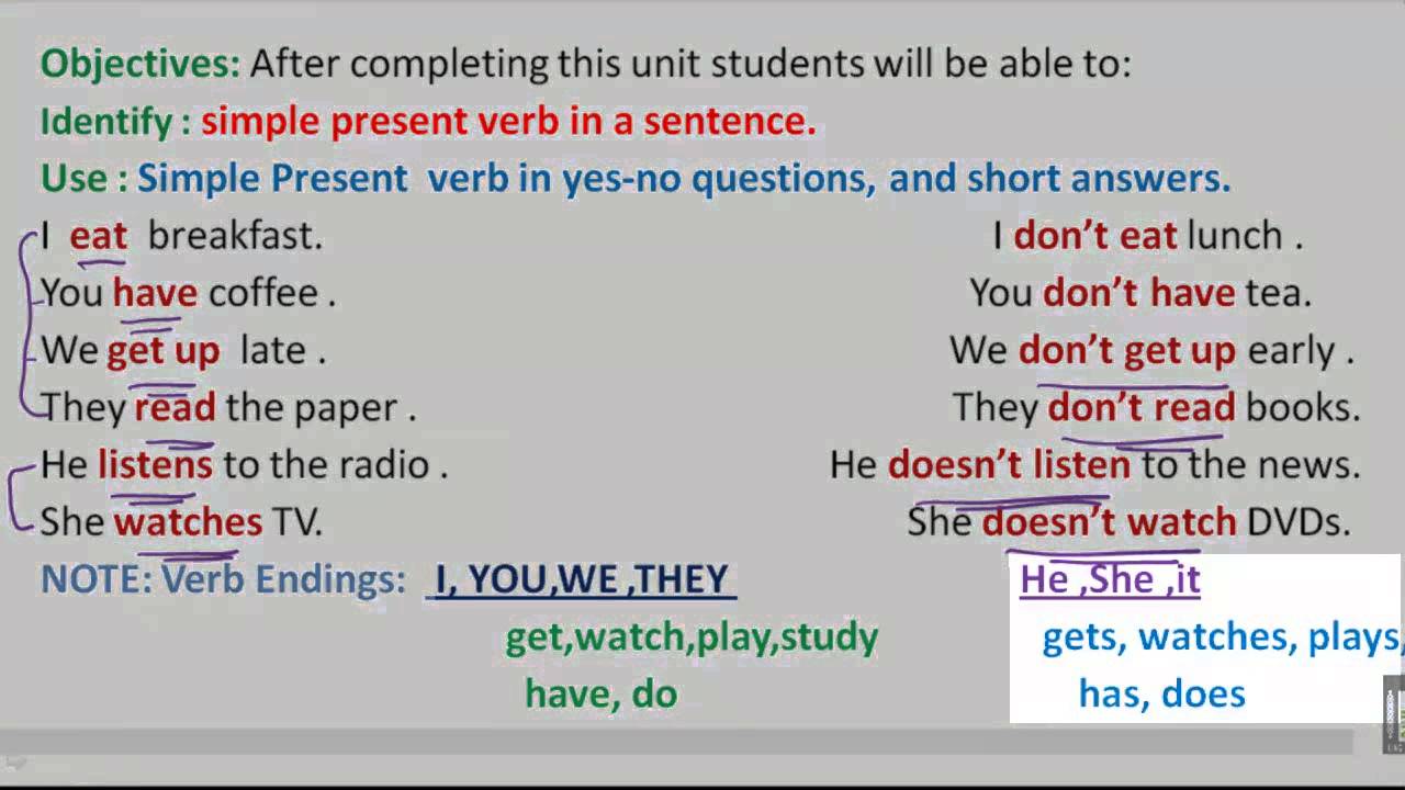 English Immersion Program : Simple present statements