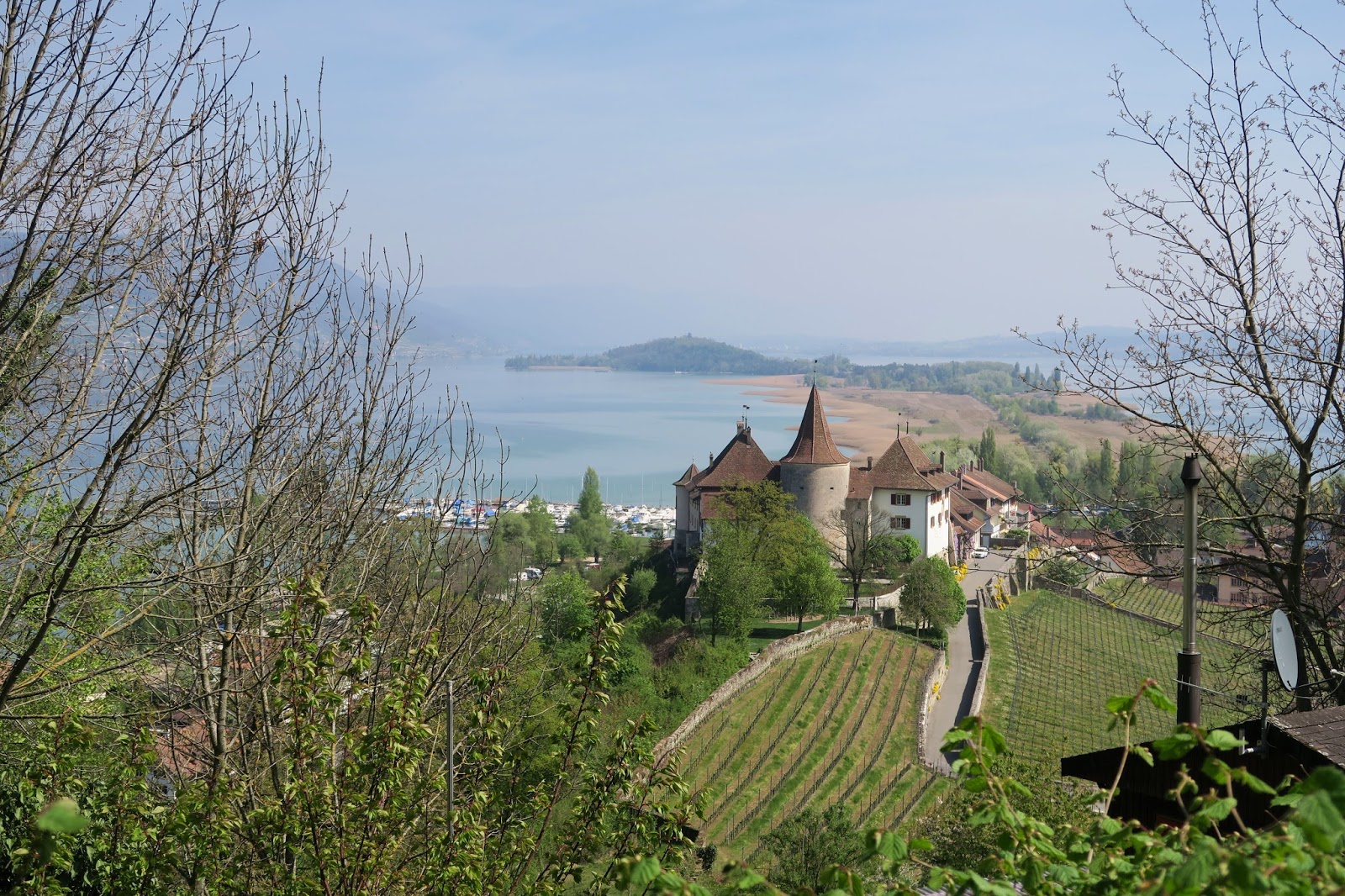 Schwarze Pfoten: Teufelsburdi - Jolimont - Erlach