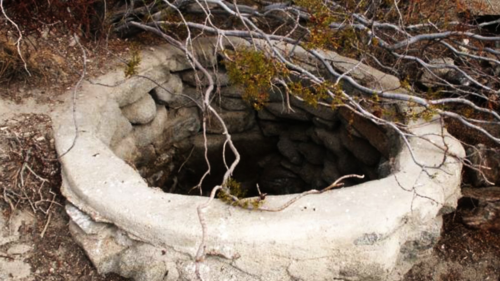 Crawling From The Wreckage: The Donkey In The Well