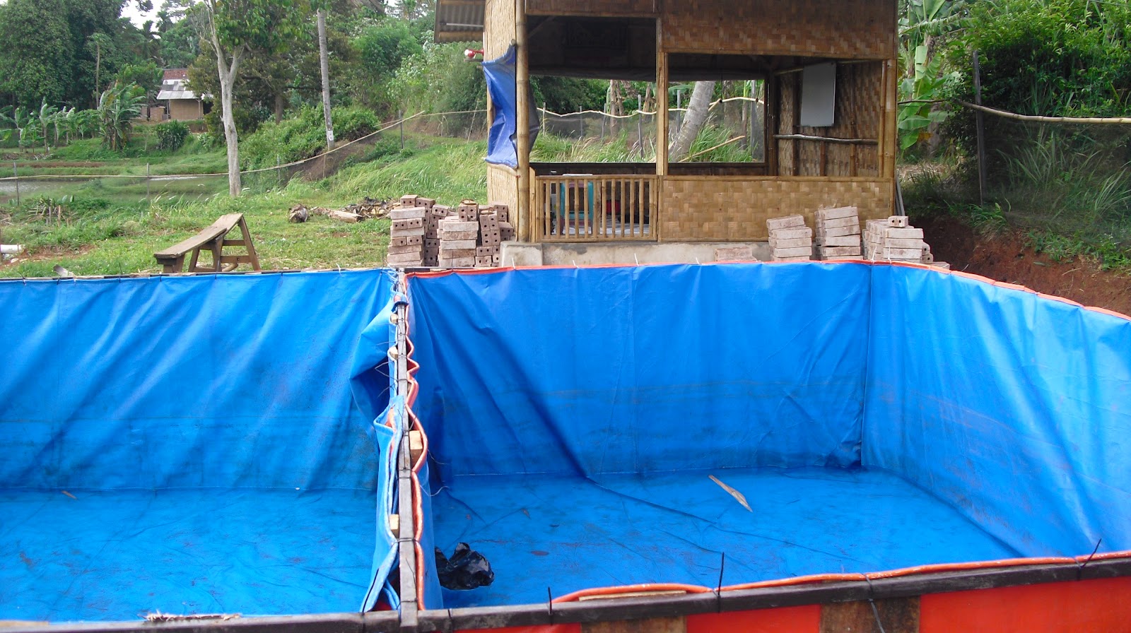 Ide Penting Design Kolam Terpal