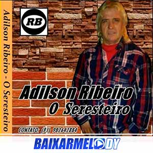 Cd Adilson Ribeiro - O Seresteiro 2017 | BaixarMelody 2024 - Cds Completos