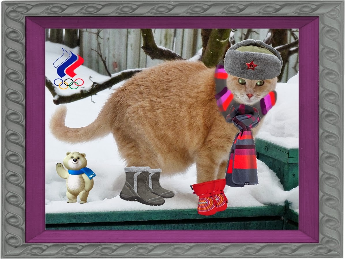Wendy's 3-D Cats: SOCHI FASHION IN 3-D!