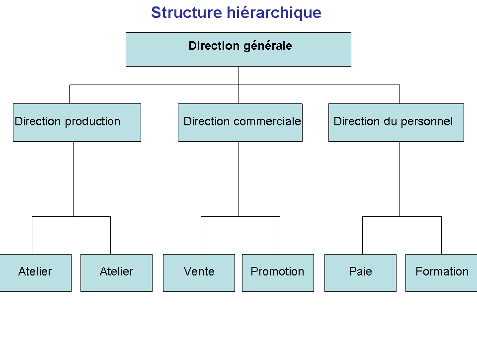 Les Structure De Lentreprise ~ Economie Et Gestion