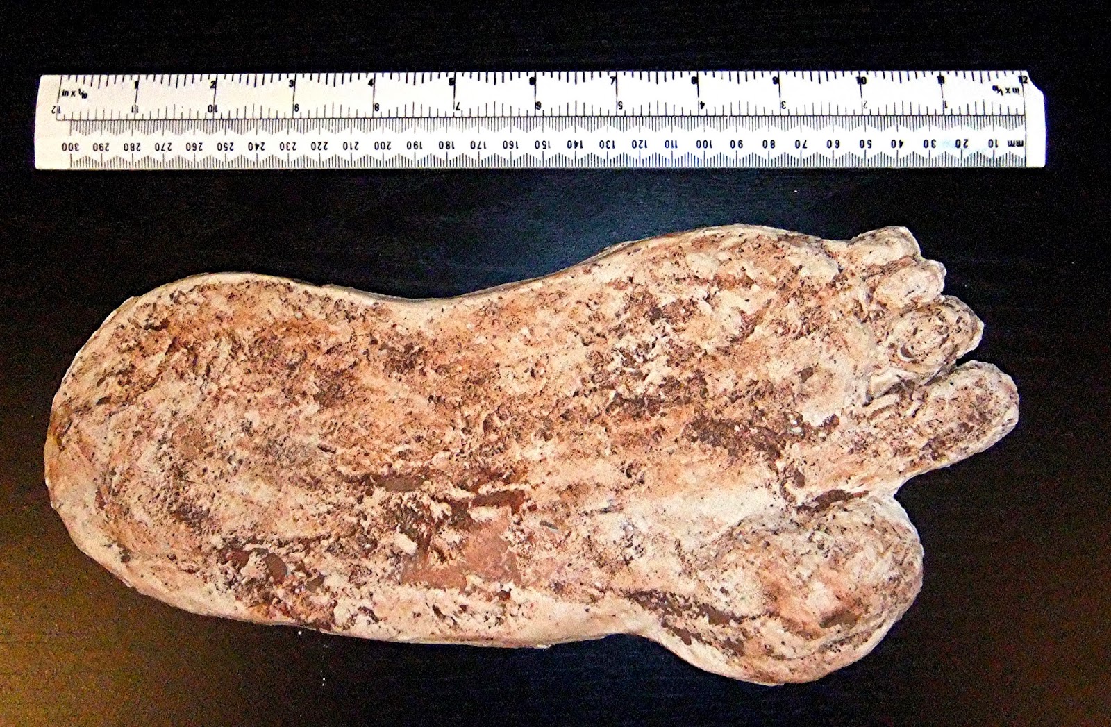 TWO YETI CORPSES – MUMMIFIED BUT MISSING? | Where Monsters Dwell