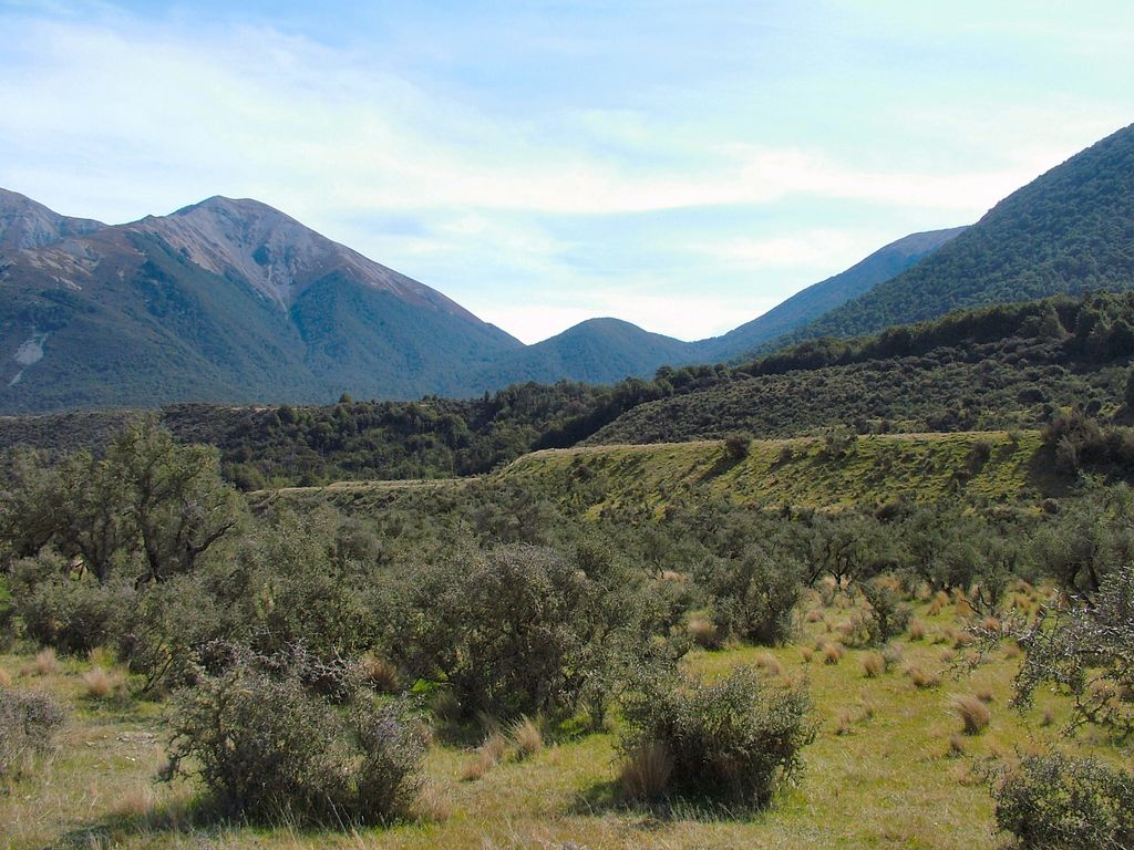 Tramping in the New Zealand backcountry: NZ Bush Adventures: Andrews ...