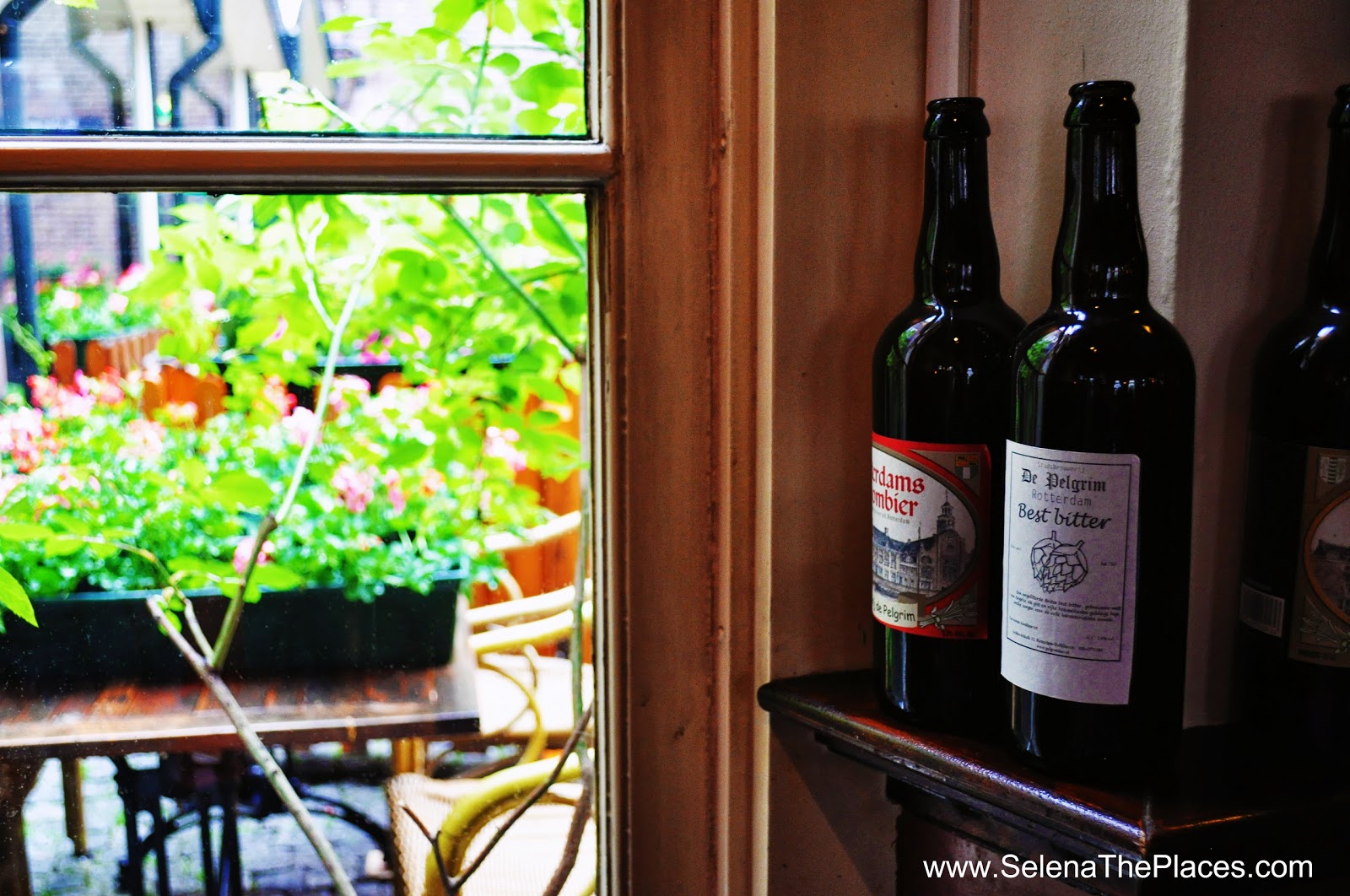 Oh, the places we will go!: A stroll through Delfshaven