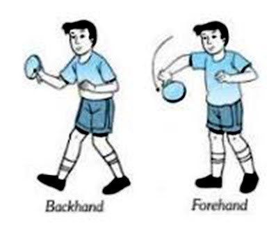 6 Teknik Dasar Tenis Meja, Ukuran Lapangan, dan Gambarnya - PENJASORKES