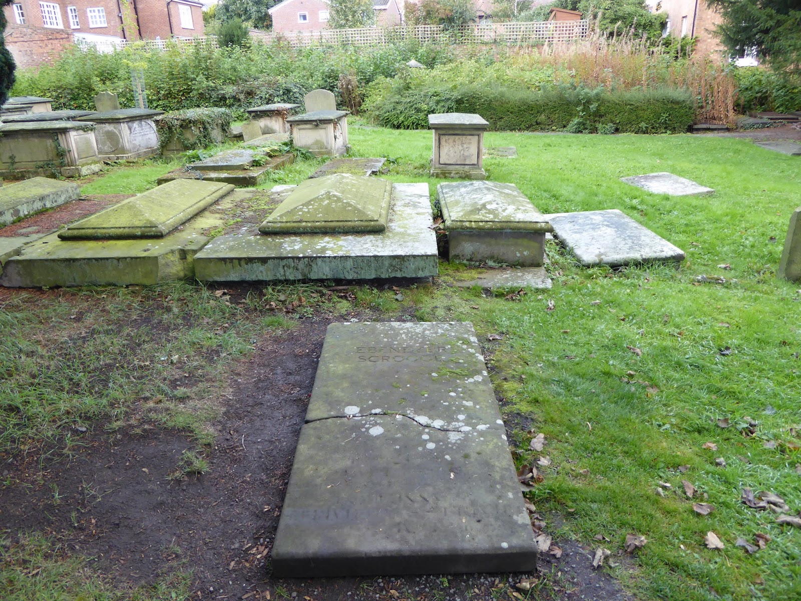 Random encounters with the unusual: October 2016