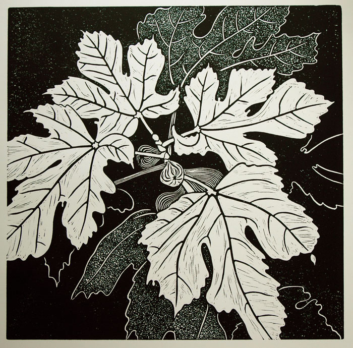woodcuts and more: Fig tree print