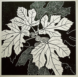 woodcuts and more: Fig tree print