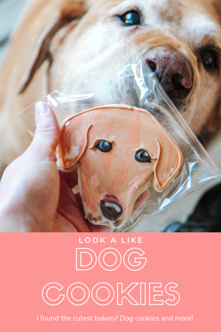 CUTEST Cookies EVER! Look-a-like Dog Cookies! - Treat Dreams...are made ...