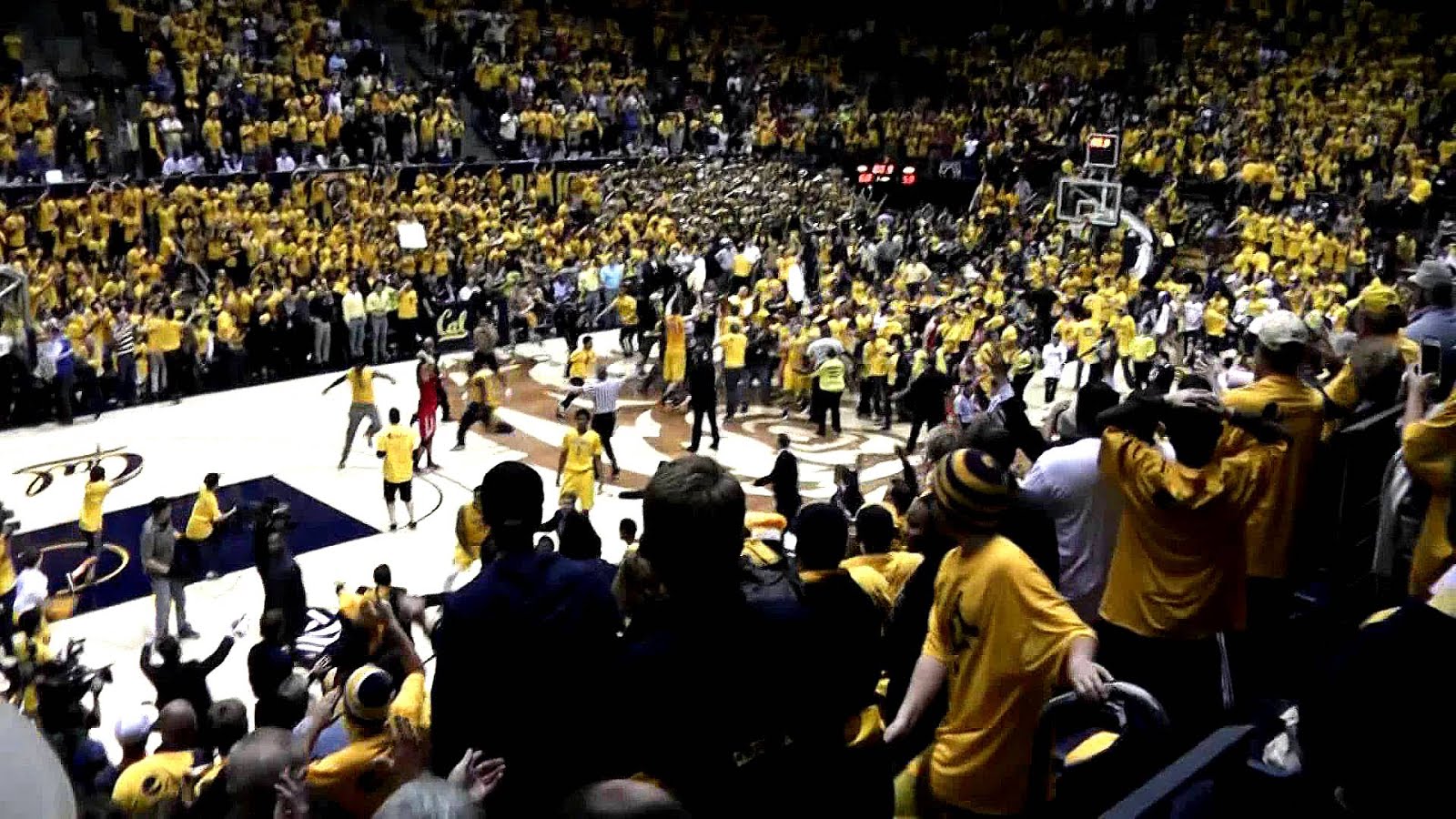 California Golden Bears men's basketball - Basketball Choices