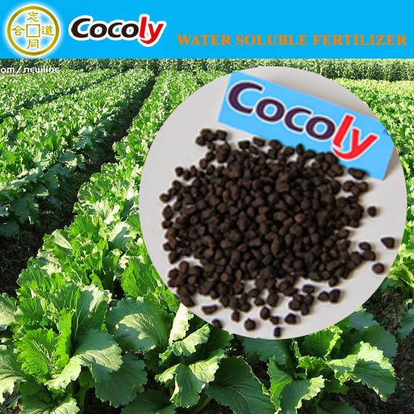 Cocoly---The pathfinder of granular water soluble fertilizer : Cocoly ...