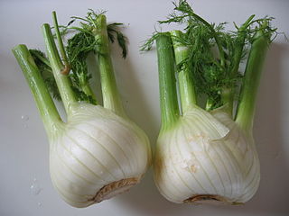 Health Benefits of Fennel & Nutrition Facts : Healthfame.com