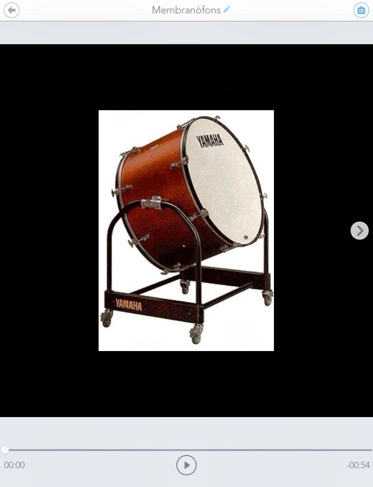 MusicAppSelvatges: Instruments de percussió membranòfons