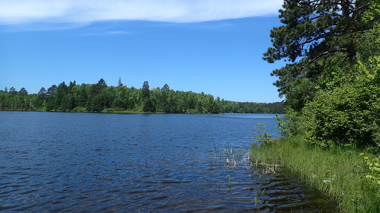 The Continuing Adventures of Eric, Noelle and Sierra: Chippewa National ...