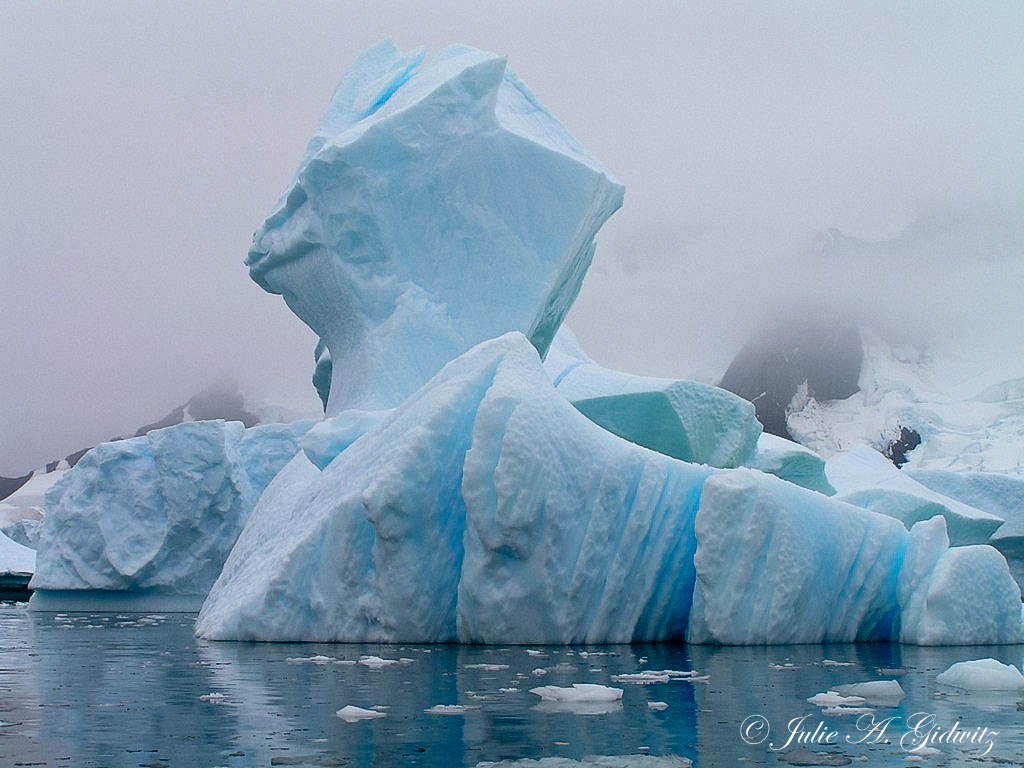 Birding Is Fun!: Penguins Galore in Antarctica: Part 2