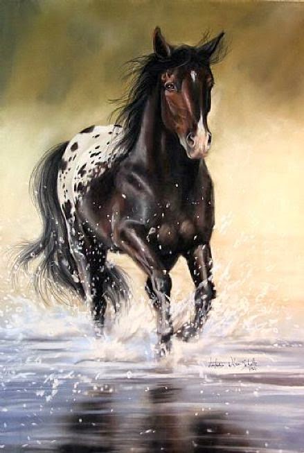 As Cores Da Arte: Victoria Wilson-Schultz