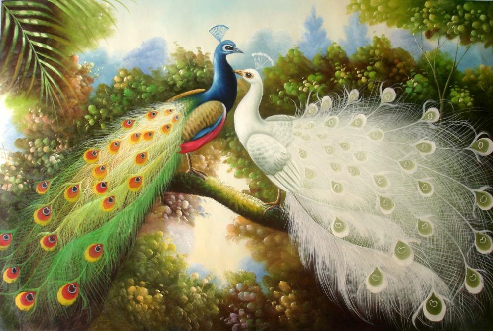 Ý NGHĨA PHONG THỦY CHIM CÔNG