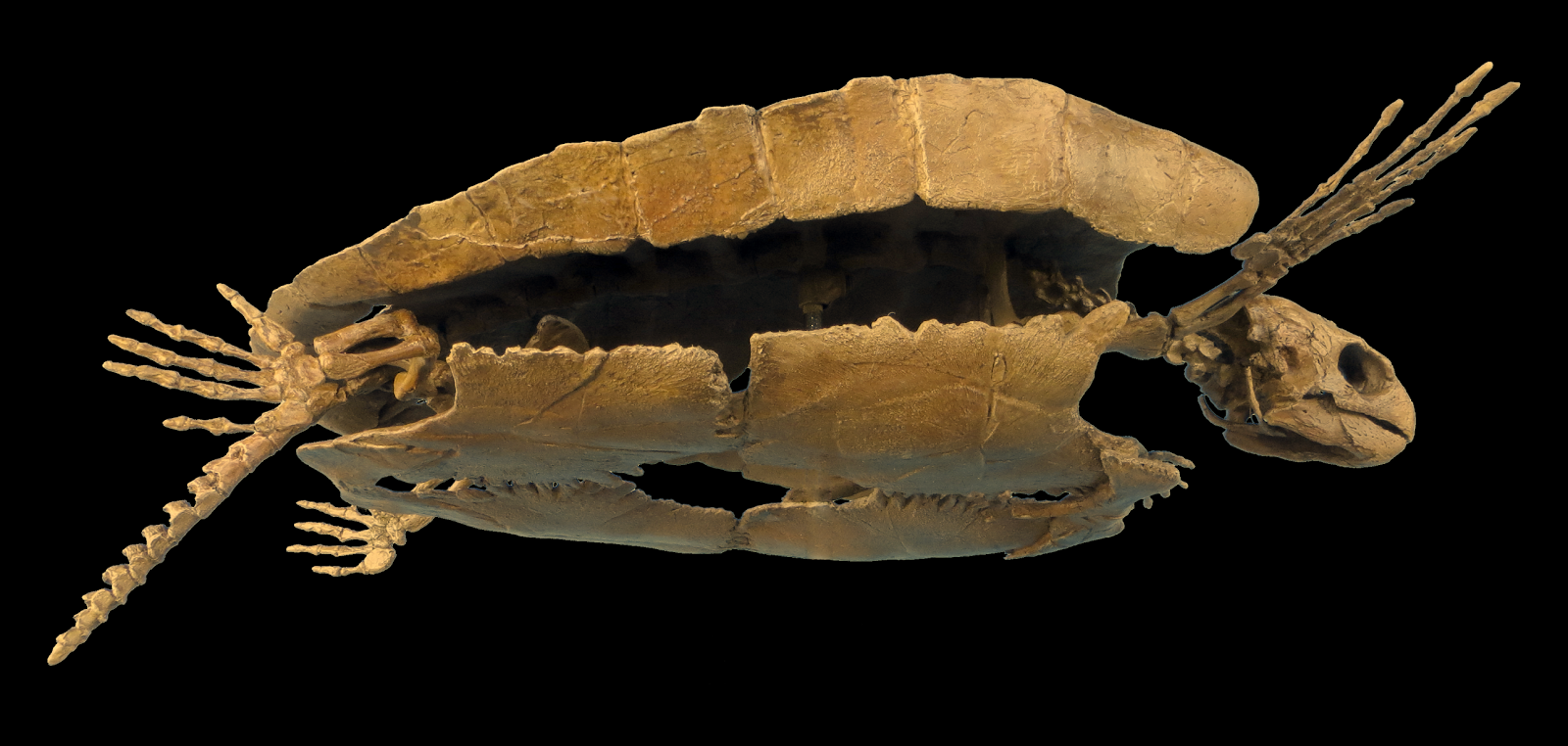 The Expeditioner's Discovery Guild: A little bit of Everything: Museums ...