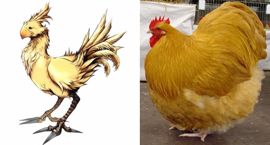 Art of Emily Willoughby: Top 10 Fictional Birds Based on Real Birds